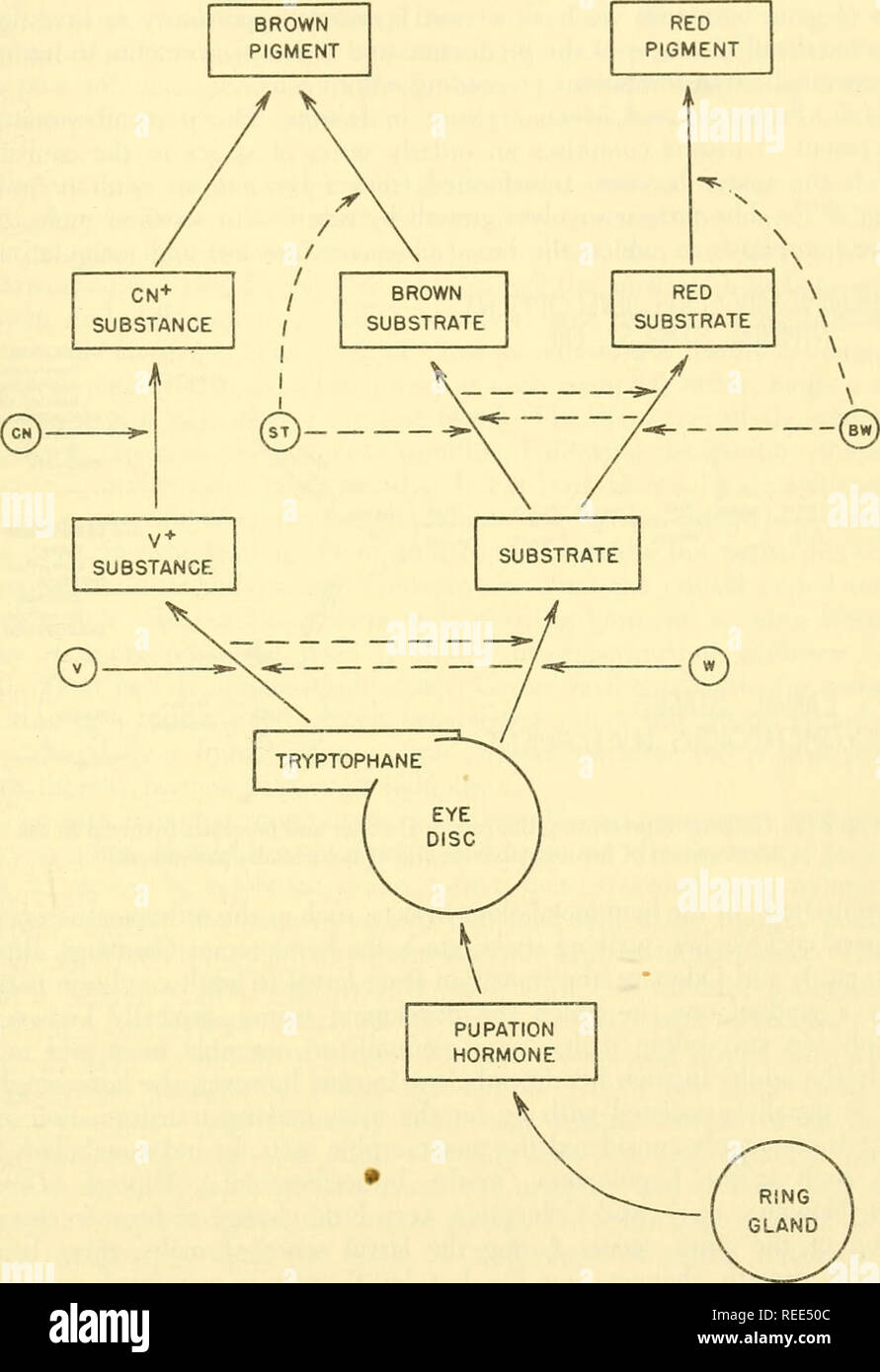 . Comparative animal physiology. Physiology, Comparative; Physiology ...