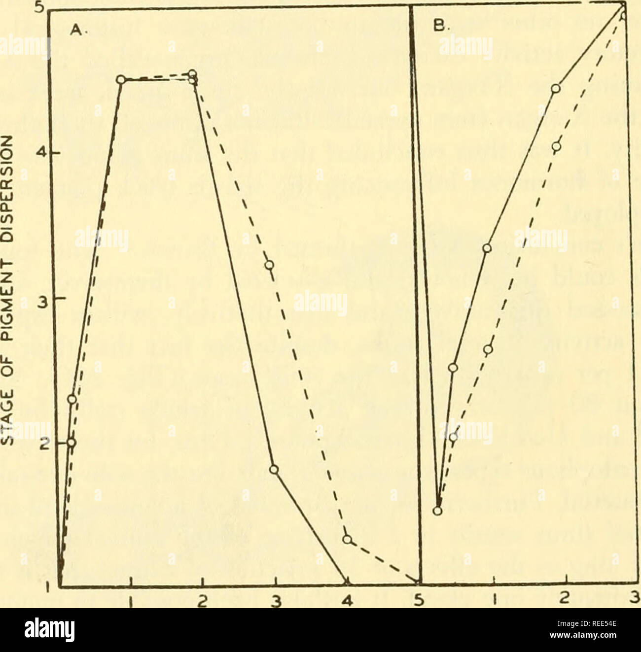 Animal relative sizes hi-res stock photography and images - Alamy
