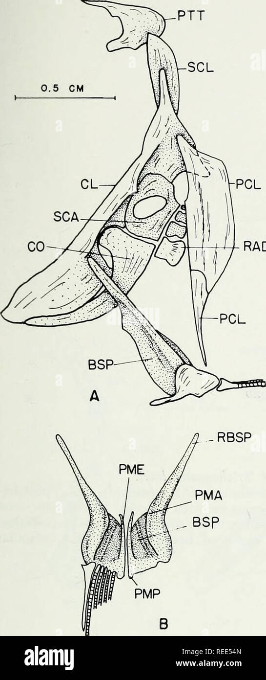 Pcl images hi-res stock photography and images - Alamy