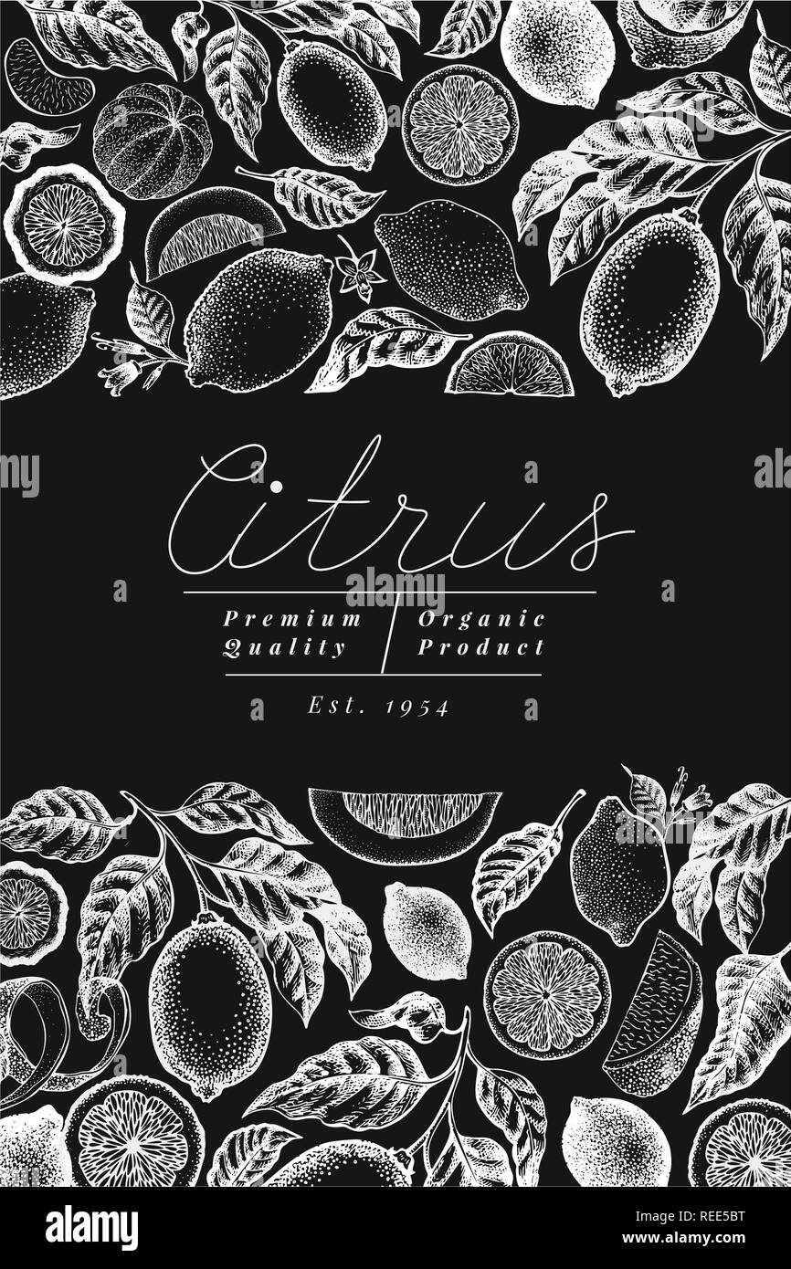 Vintage citrus banner template. Lemon tree design. Hand drawn vector ...