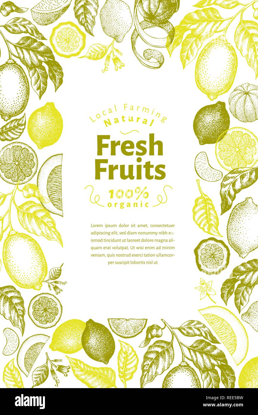 Vintage citrus banner template. Lemon tree design. Hand drawn vector ...