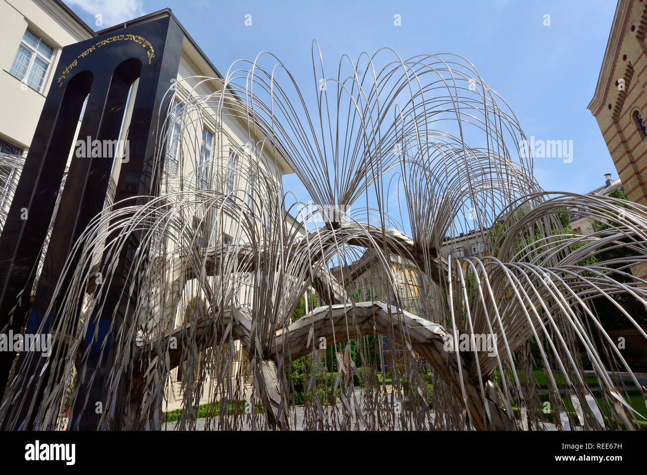 Budapest synagogue tree hi-res stock photography and images - Alamy
