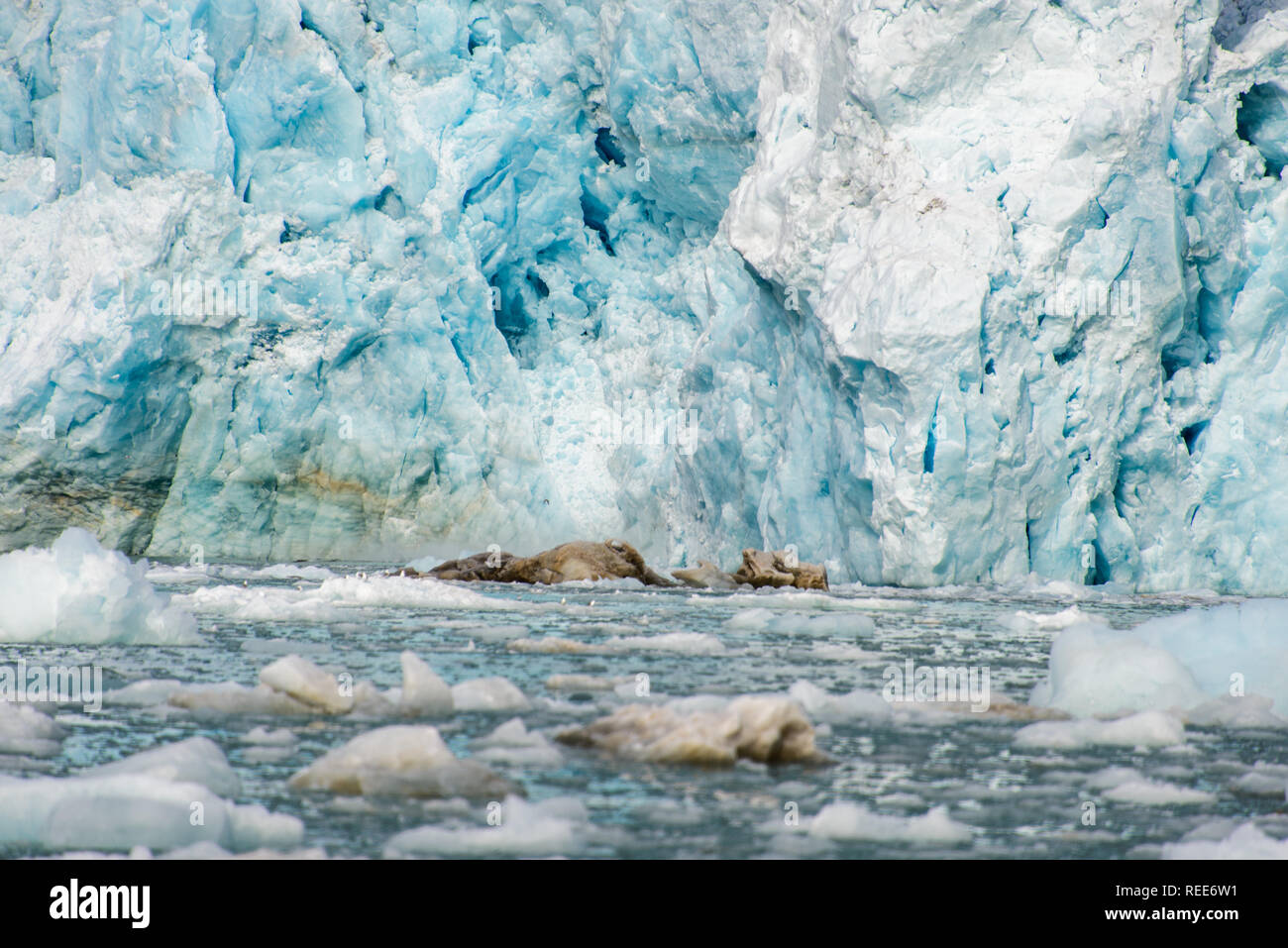 Arctic landscape in Svalbard Stock Photo - Alamy
