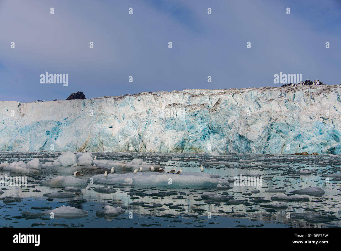 Arctic landscape in Svalbard Stock Photo - Alamy