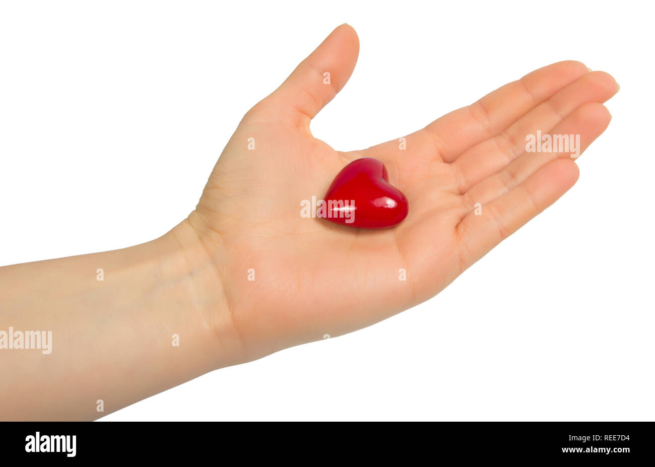 Small red heart in woman hands isolated on white background Stock Photo ...