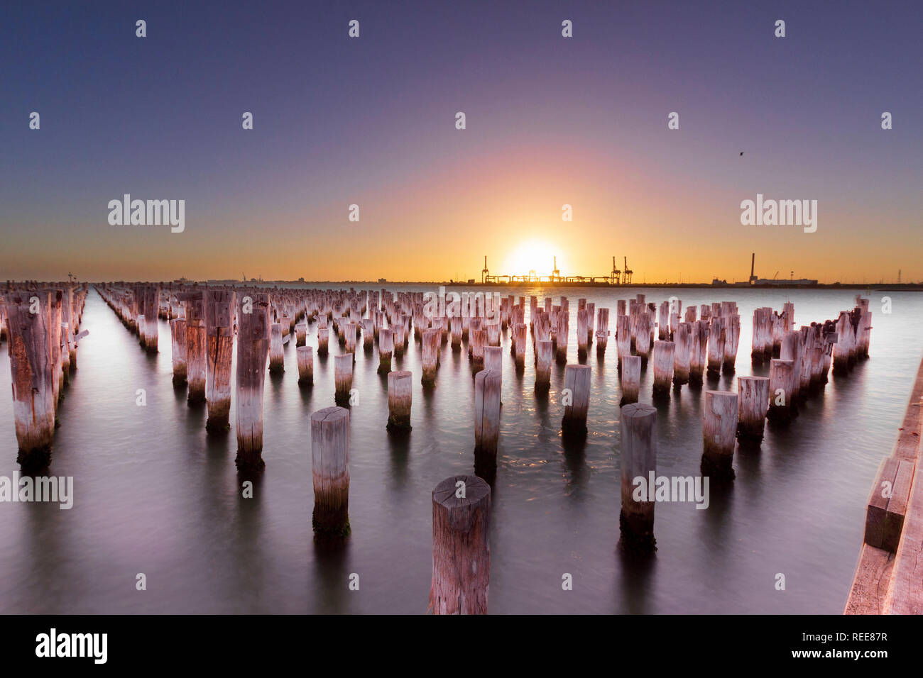 Princes pier hi-res stock photography and images - Alamy