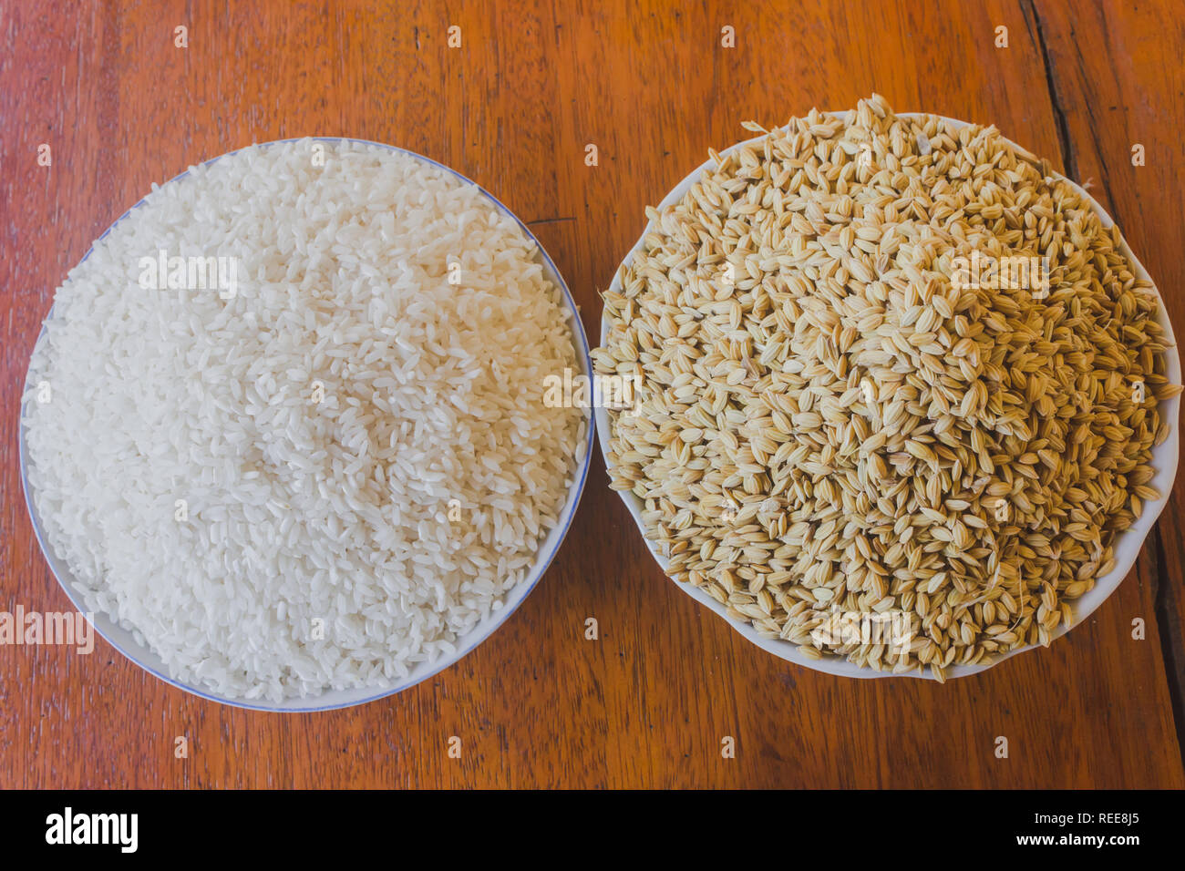 Unhusked rice hi-res stock photography and images - Alamy