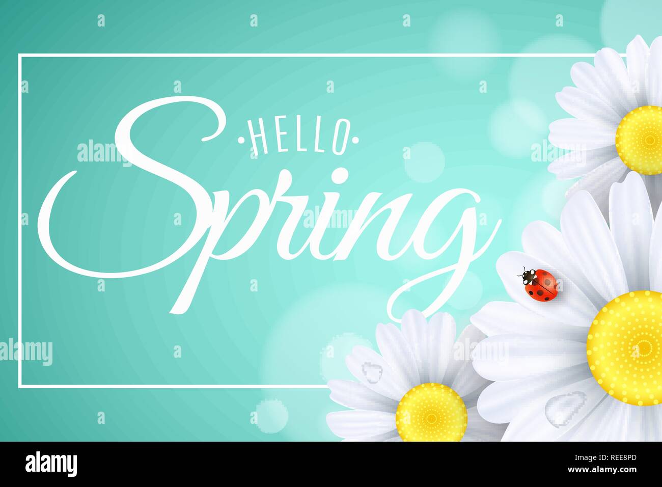 Hello spring gift card. Seasonal banner. Ladybug creeps on the flowers ...