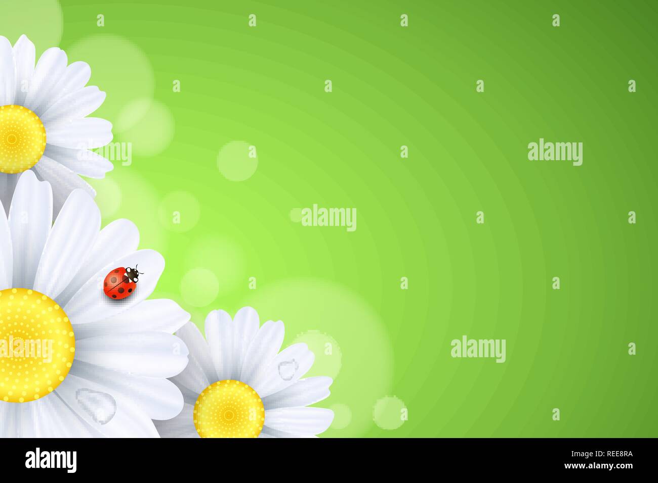 Ladybug And Flowers Background