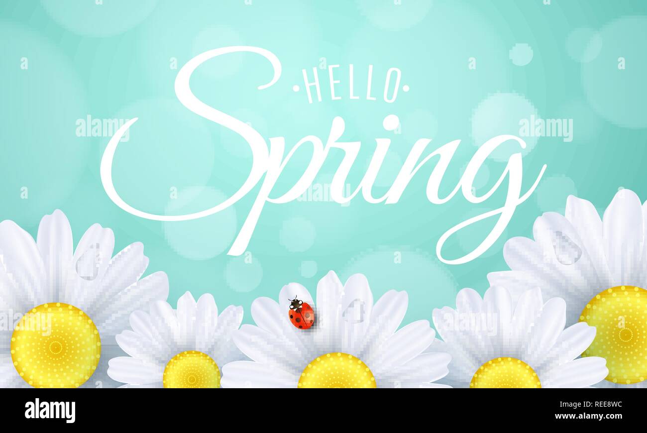 Boarder vector vectors hi-res stock photography and images - Alamy