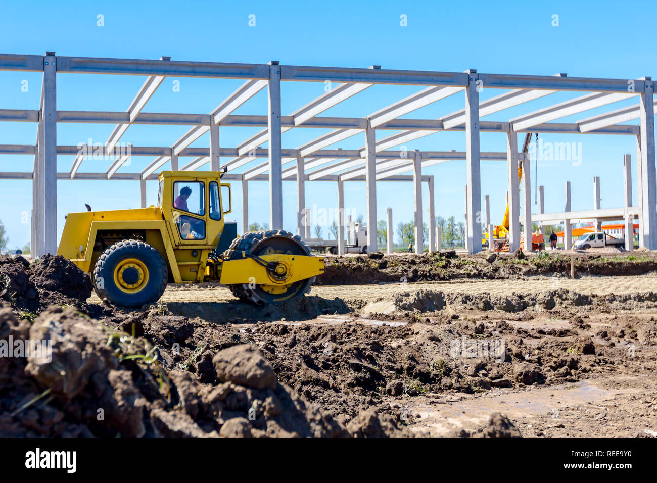 Construction worker is driving, huge road roller with spikes ...