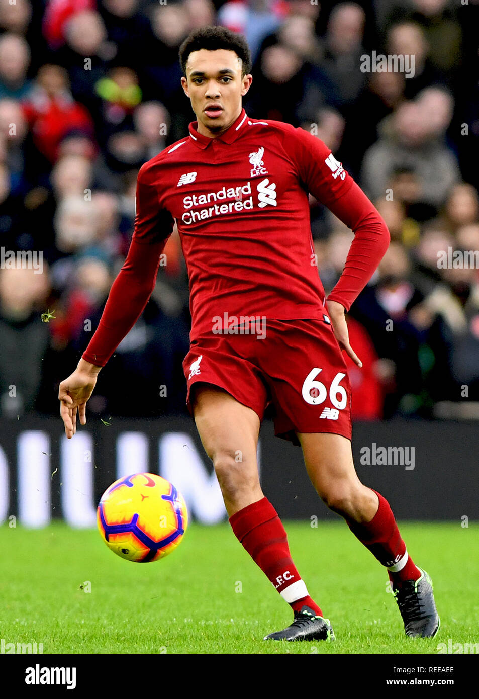 Trent Alexander-Arnold of Liverpool - Brighton & Hove Albion v ... Trent Alexander-Arnold of Liverpool - Brighton & Hove Albion v ...