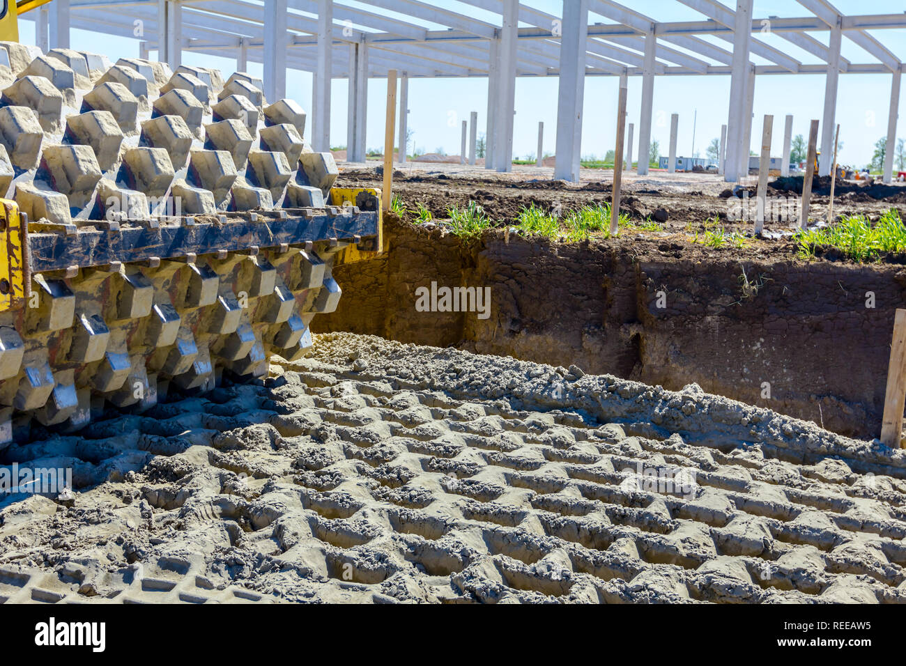 Pattern tracks of huge road roller with spikes, compacting soil for a ...
