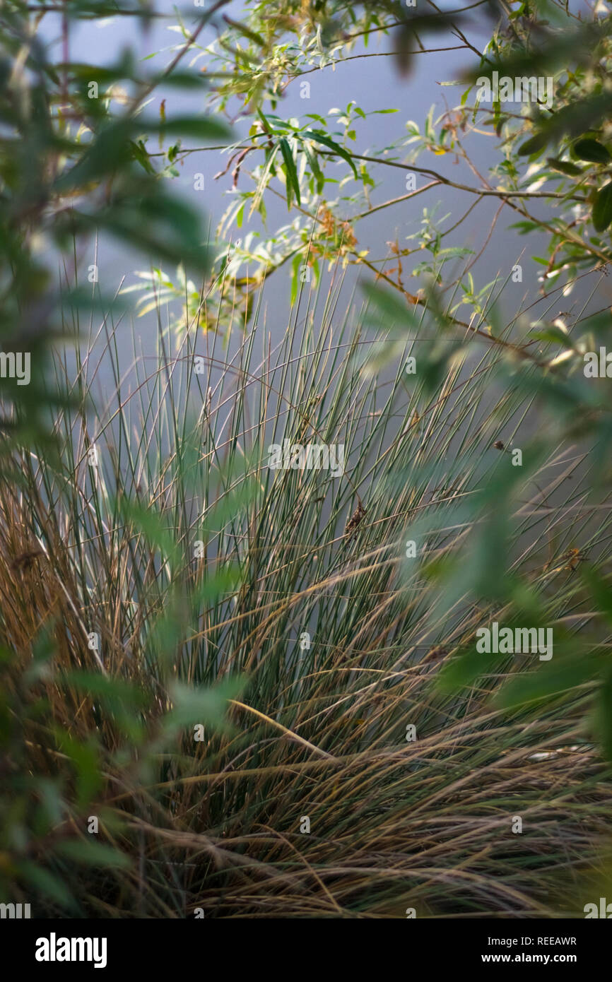 Sunlight shines hi-res stock photography and images - Alamy