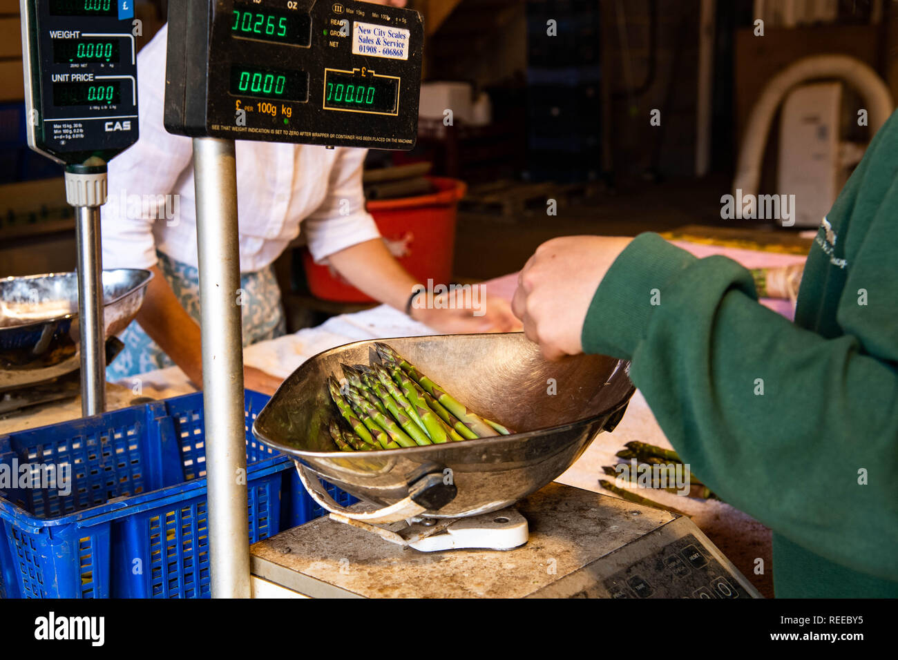 Unskilled labour hi-res stock photography and images - Alamy