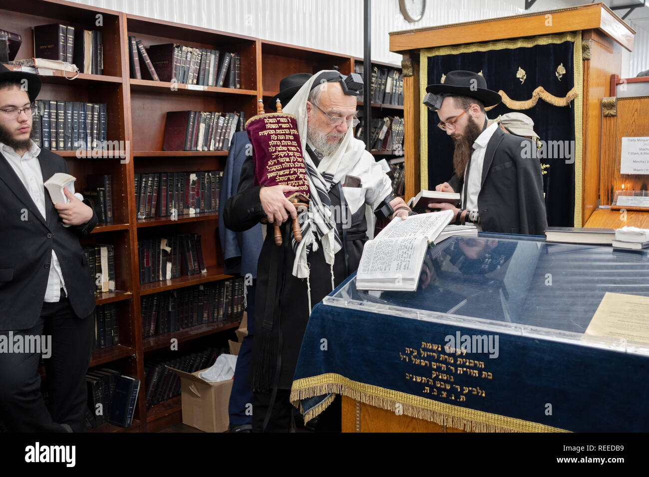 A religious Jewish man brings a Torah from the Holy Ark to the place ...