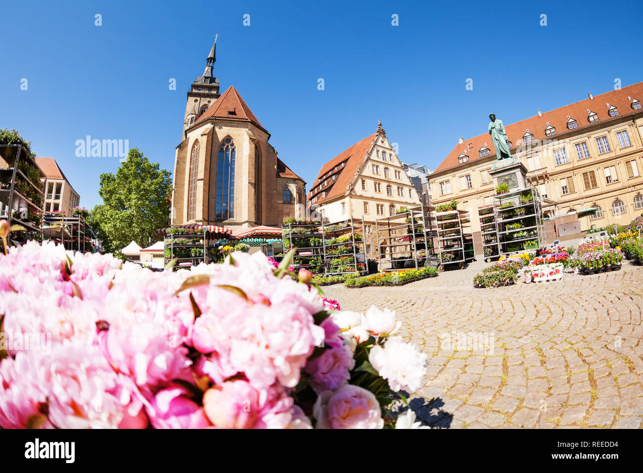 Schillerplatz market hi-res stock photography and images - Alamy