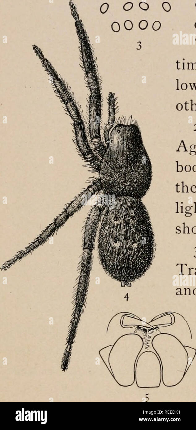 Widened eyes hi-res stock photography and images - Alamy