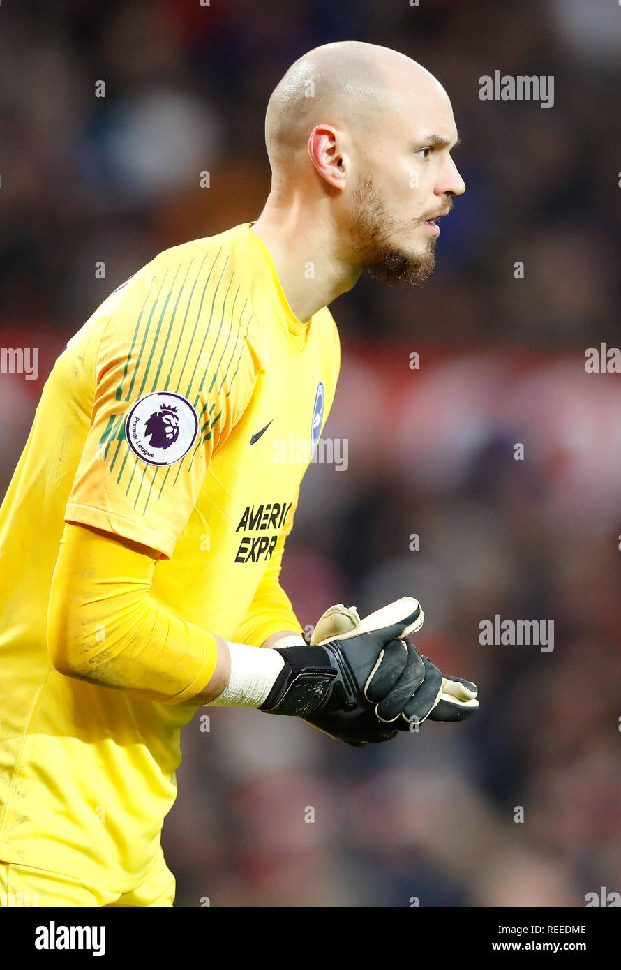 Brighton and Hove Albion goalkeeper David Button Stock Photo - Alamy