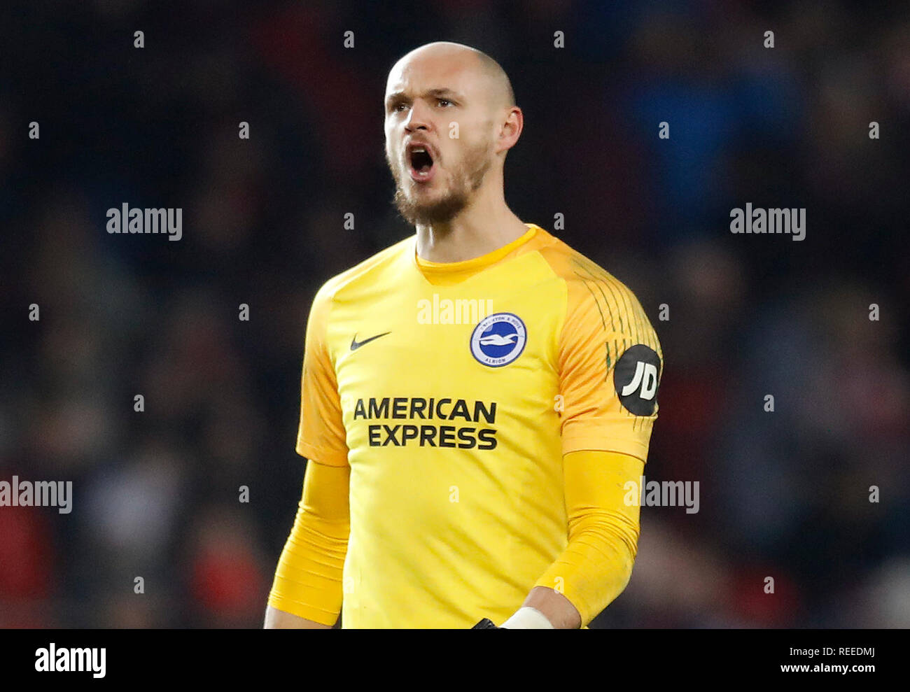 David button brighton hi-res stock photography and images - Alamy