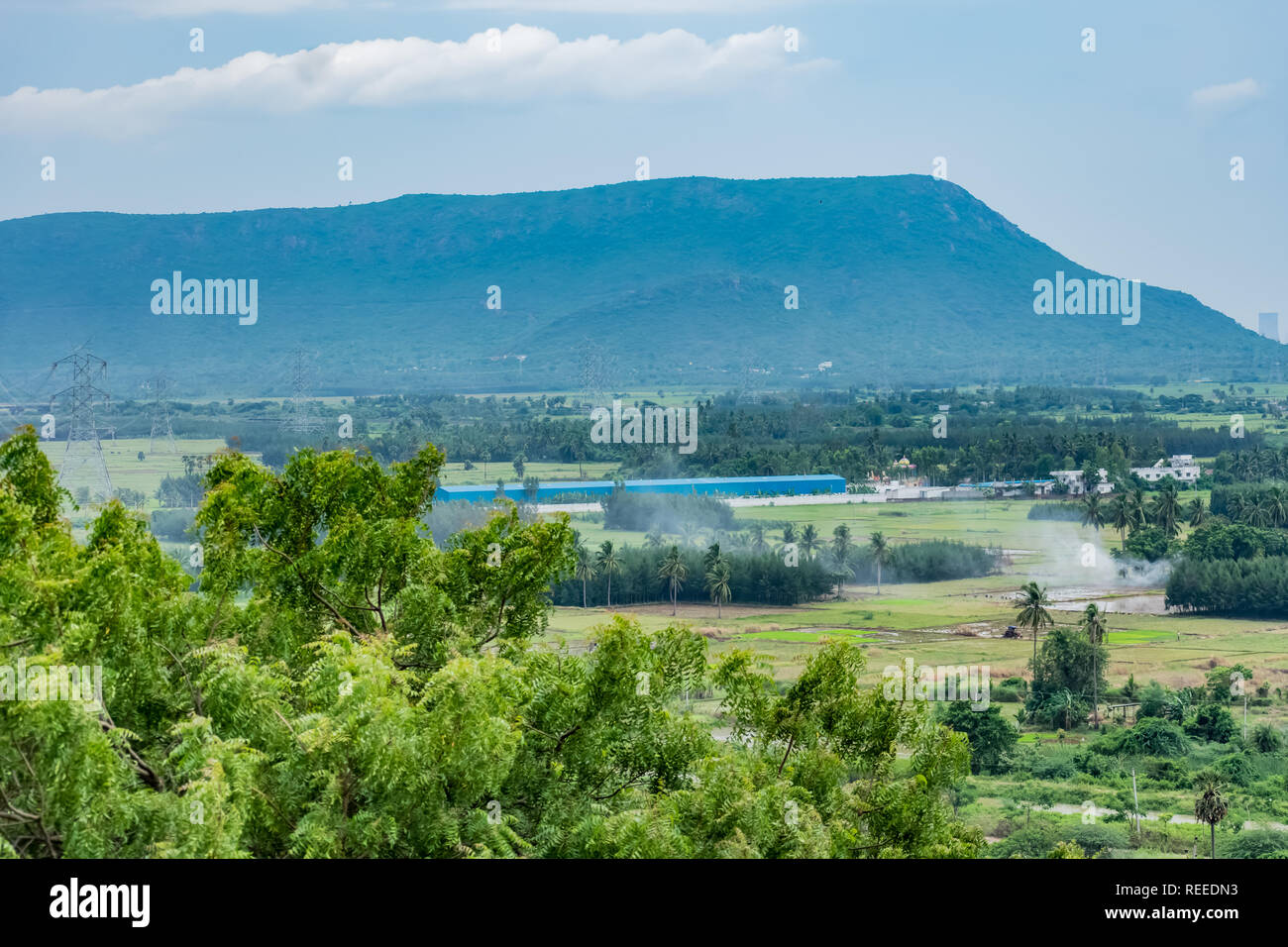 fire smoke flowing from small bushes of trees with awesome greenery ...