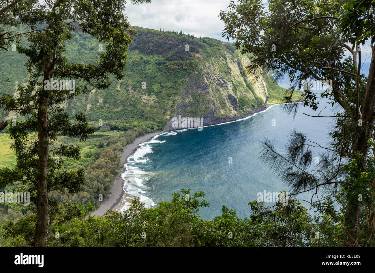 Hawaii wild nature hi-res stock photography and images - Alamy