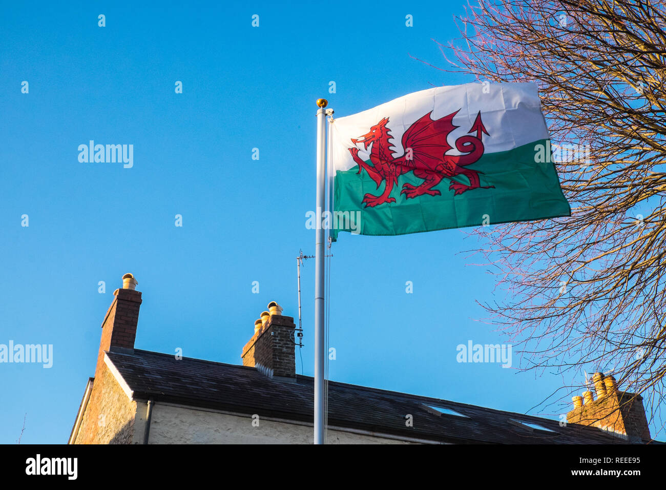 Large welsh flag hi-res stock photography and images - Alamy
