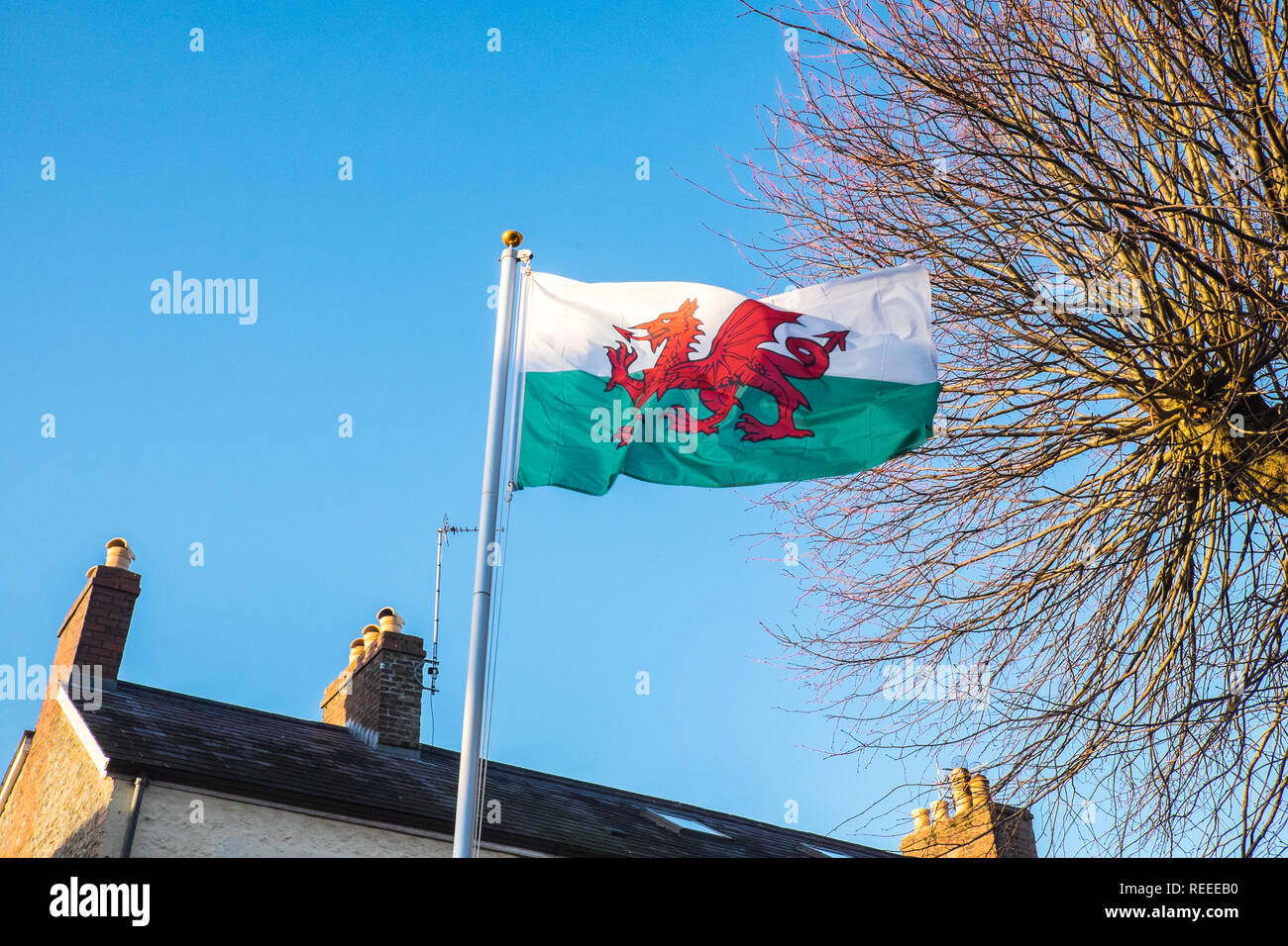 Near kidwelly hi-res stock photography and images - Alamy