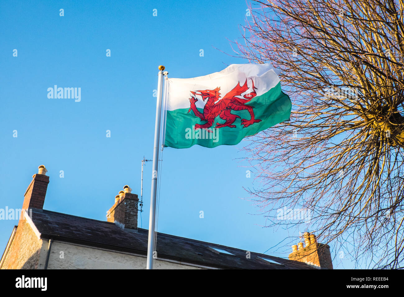 Large welsh flag hi-res stock photography and images - Alamy