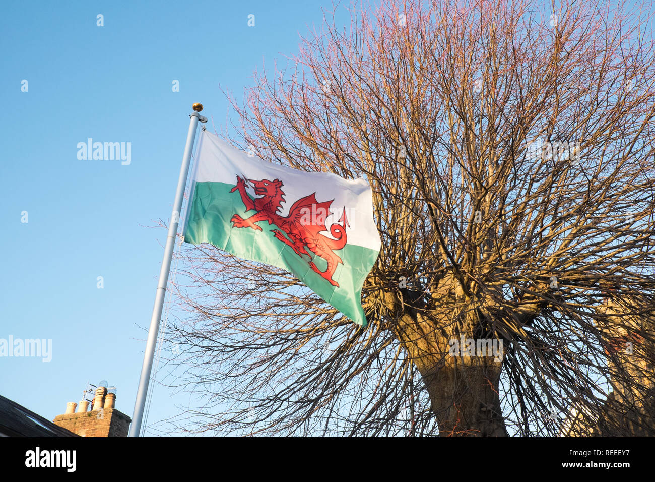 Kidwelly Town High Resolution Stock Photography and Images - Alamy