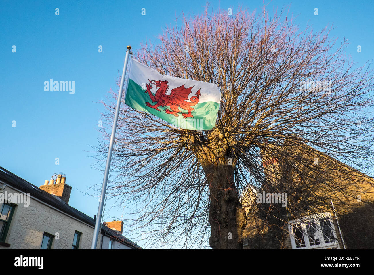 Welsh National Flag Flying In High Resolution Stock Photography and ...