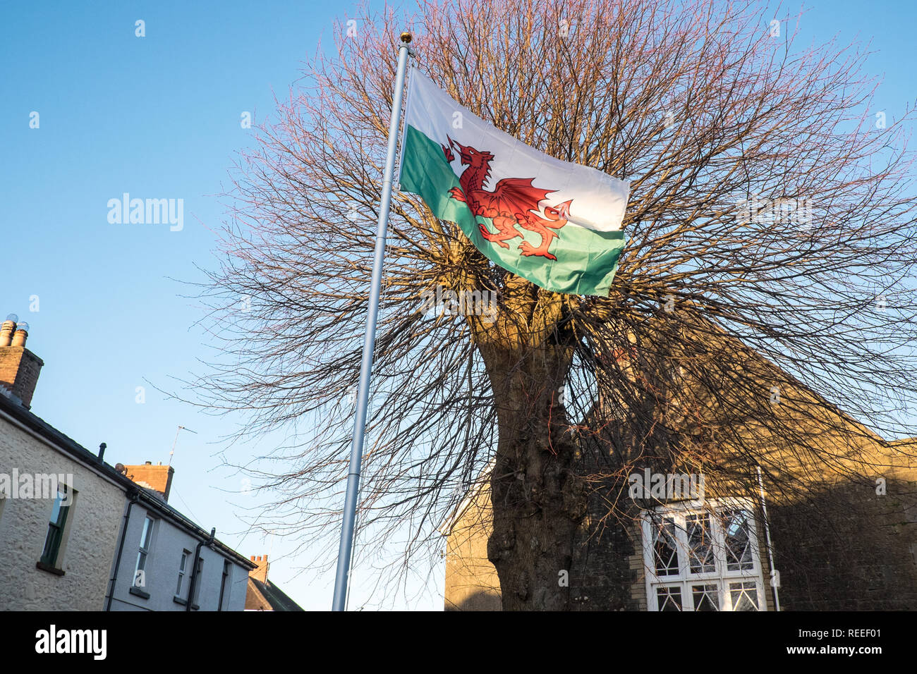 Red dragon flag flying in west wales hi-res stock photography and ...