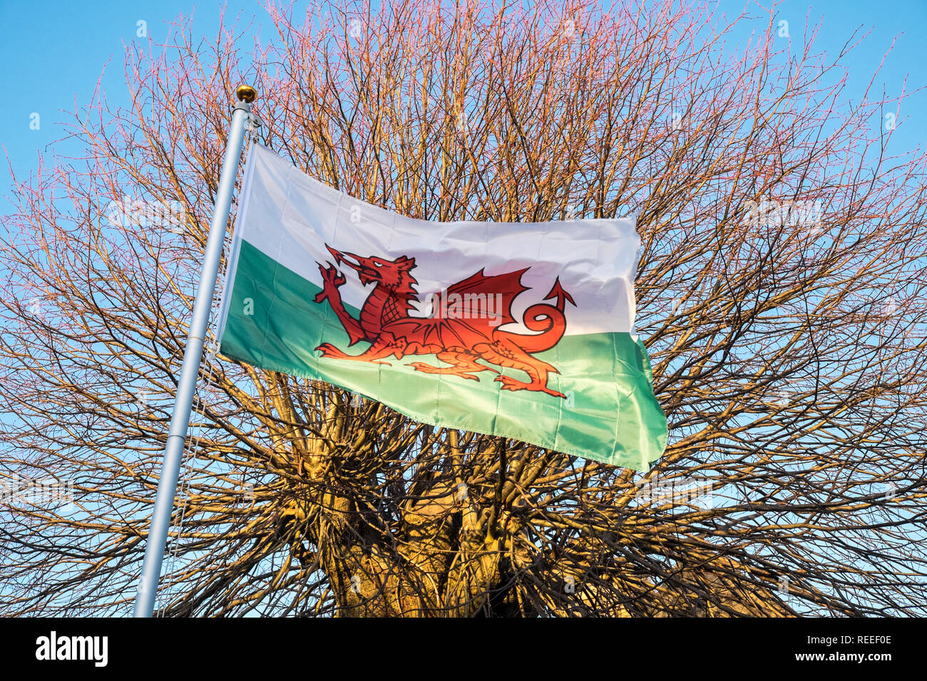 Kidwelly town hi-res stock photography and images - Alamy