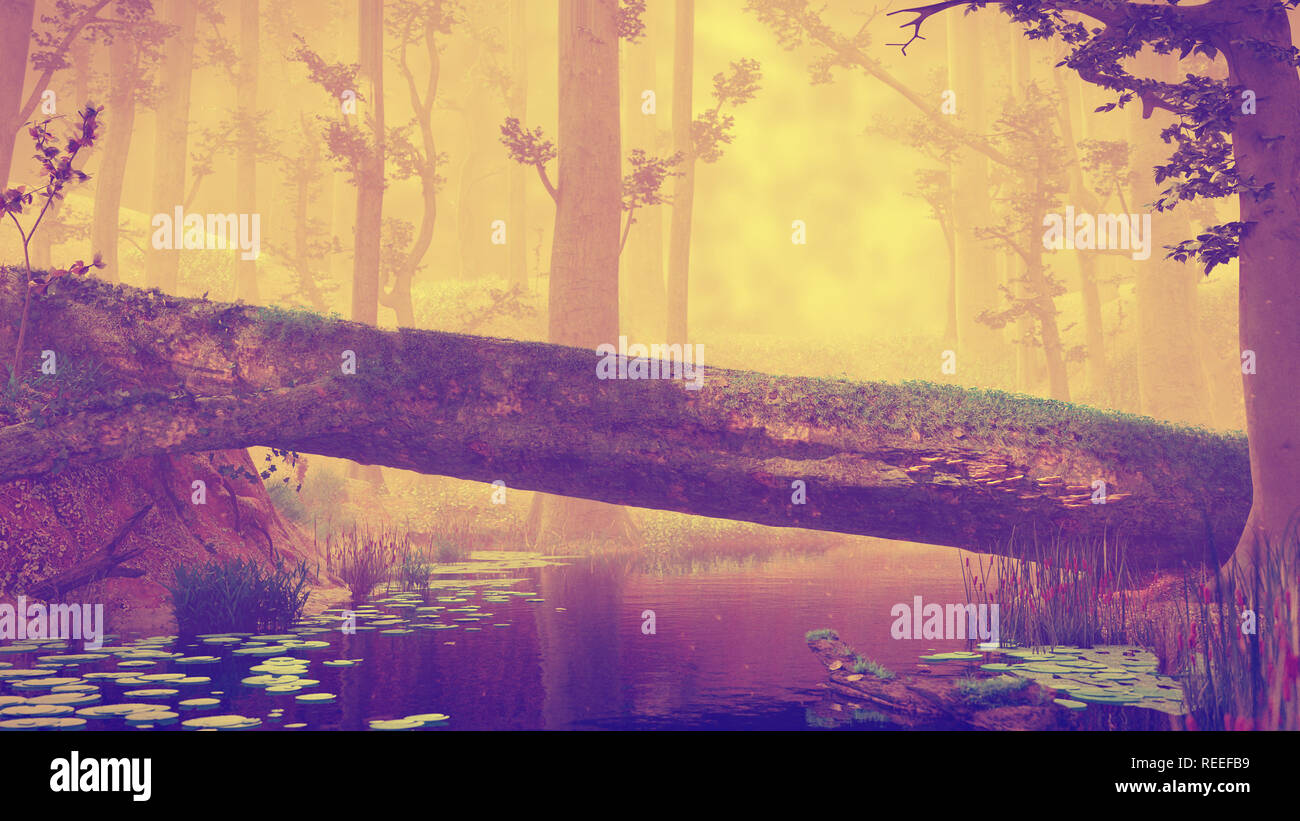 fallen tree, natural bridge in magical forest, beautiful fantasy forest ...