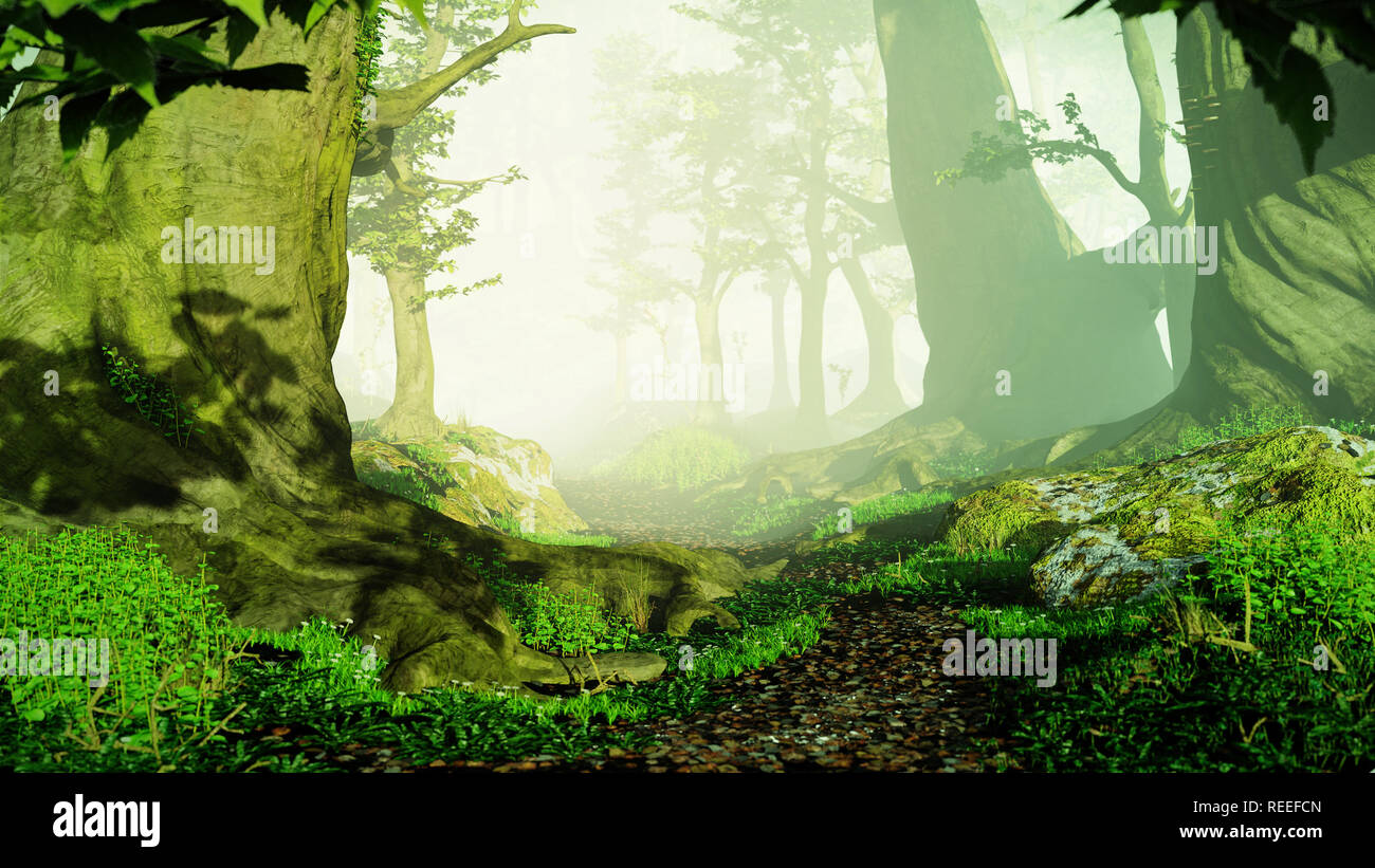 path through magical forest at sunrise, mysterious old trees, fantasy ...