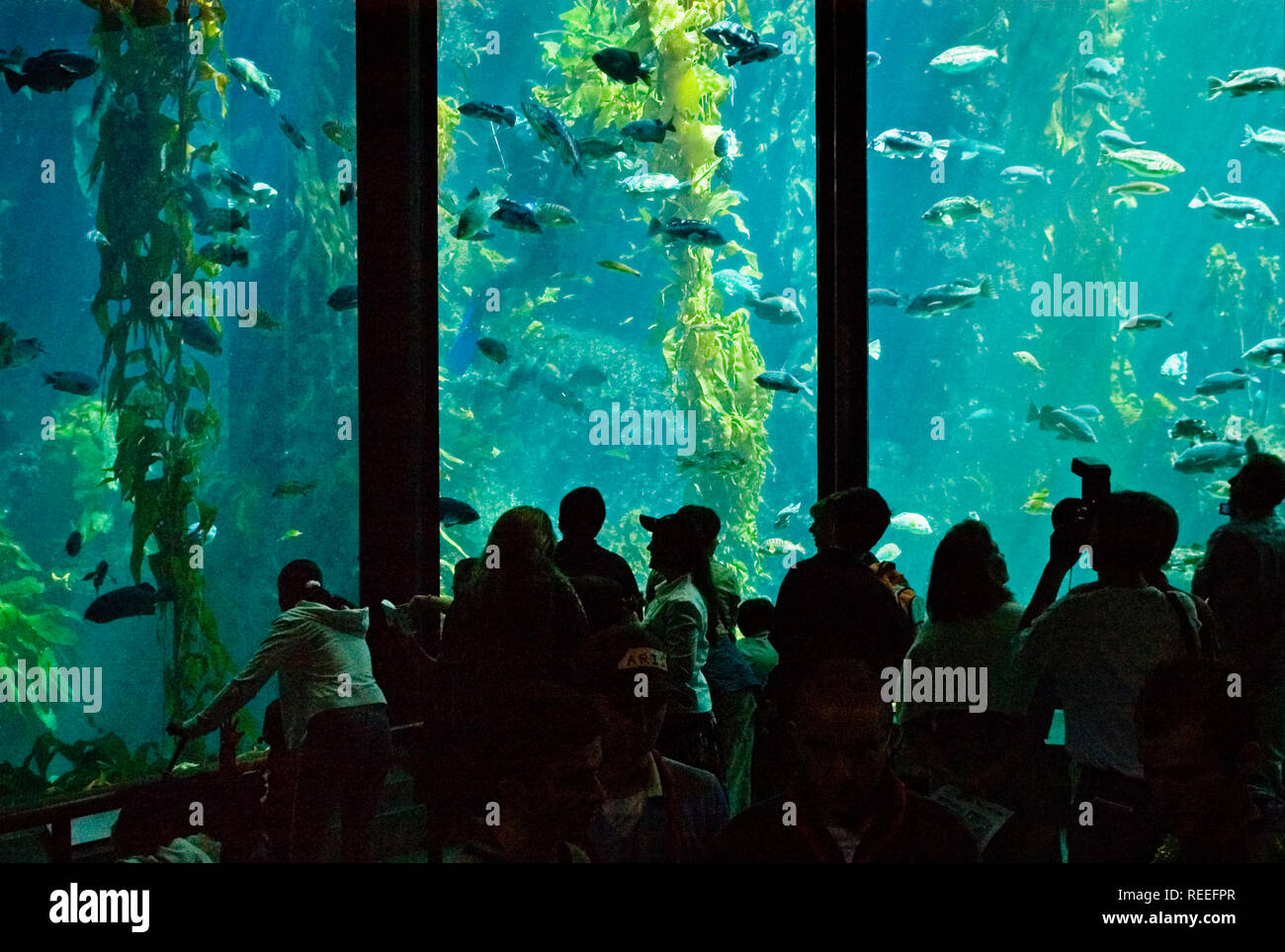 Tank story hi-res stock photography and images - Alamy