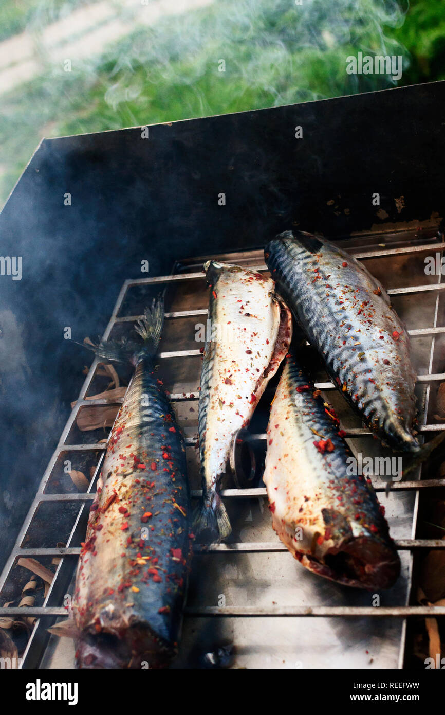 Smoking fresh fish on the grill of the smokehouse outdoors Stock Photo ...