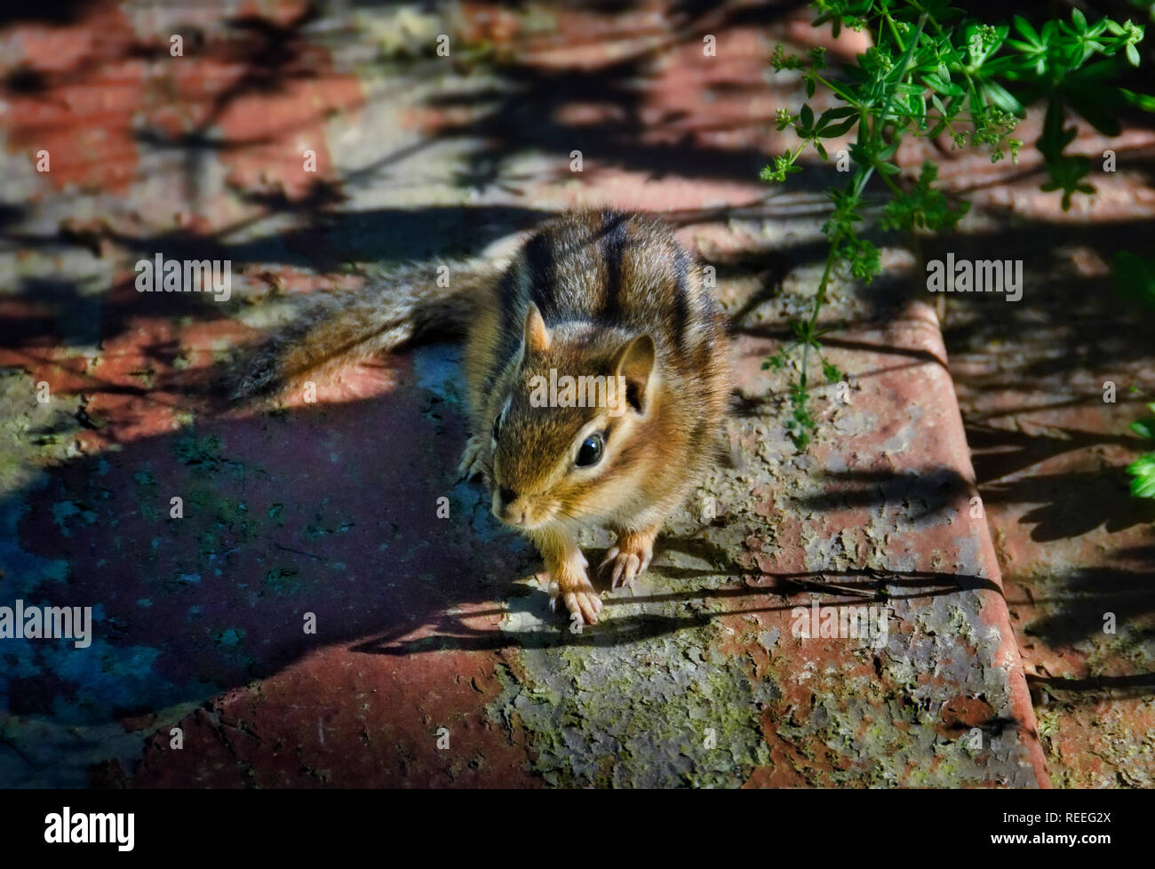 Interesting shadows hi-res stock photography and images - Alamy