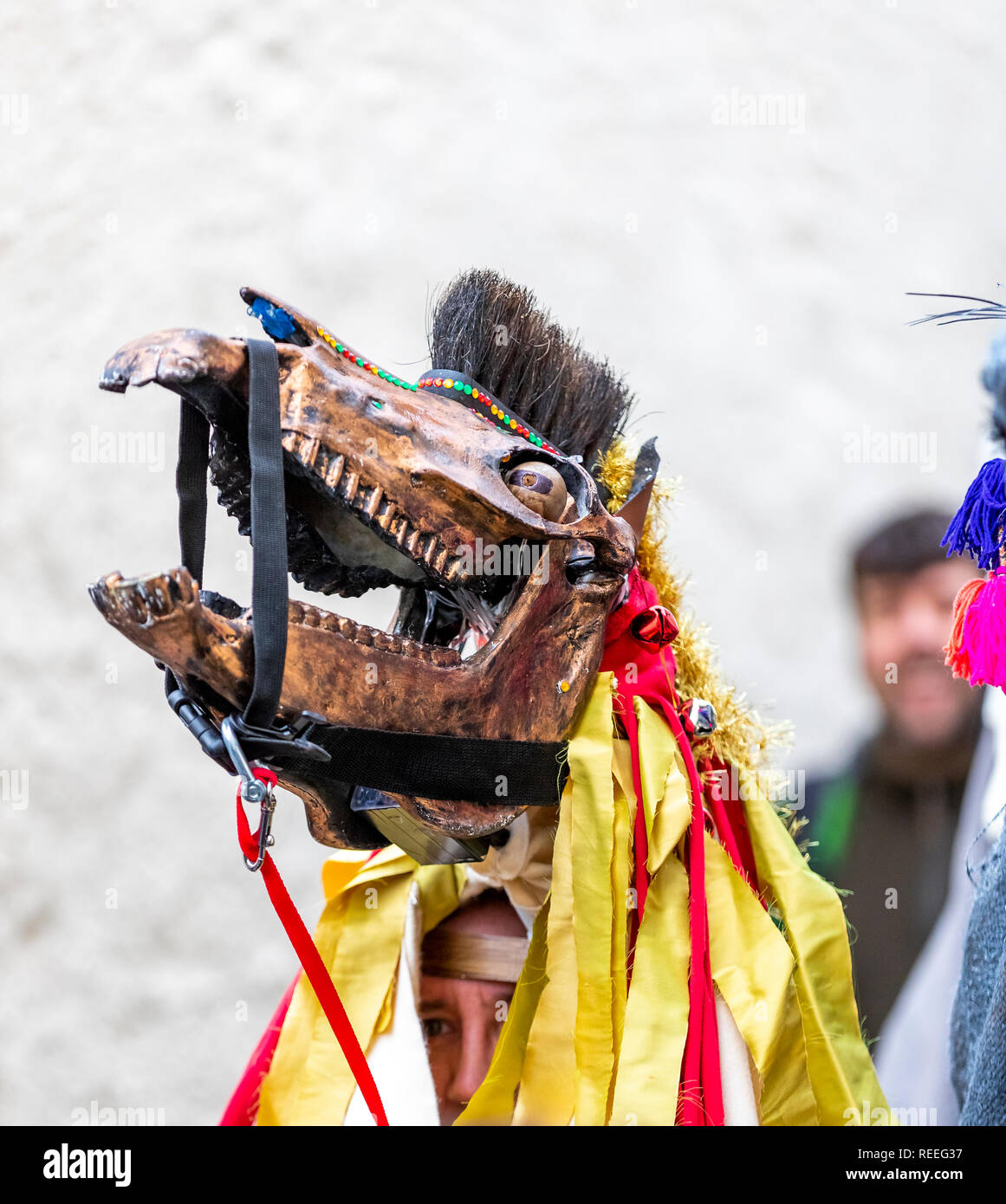 Mari lwyd decorated skull new hi-res stock photography and images - Alamy