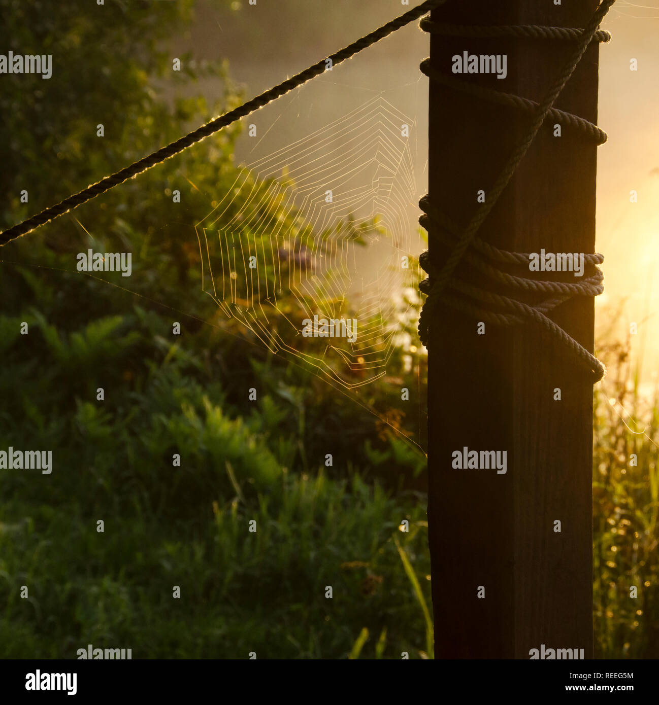 Lighting pylon hi-res stock photography and images - Alamy
