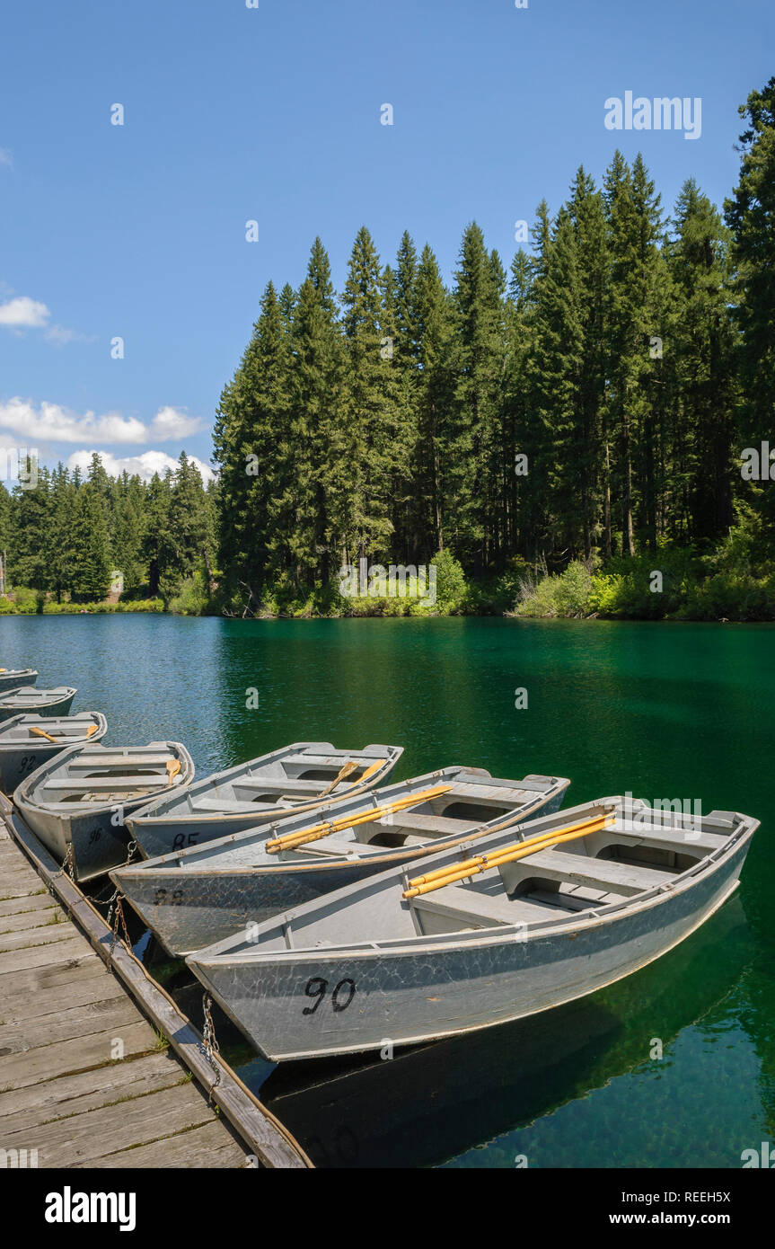 Row boats at Clear Lake Resort dock, Cascade Mountains, Oregon Stock ...
