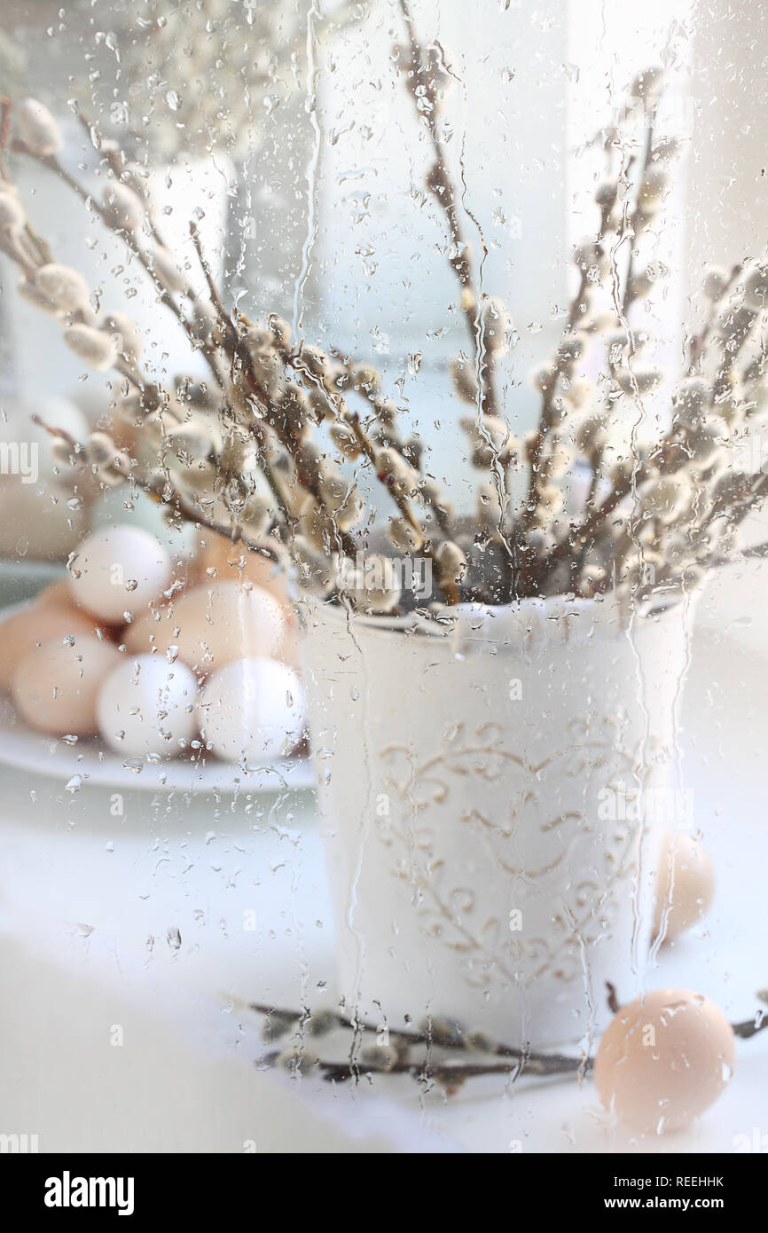 Still life with willow branches Stock Photo - Alamy