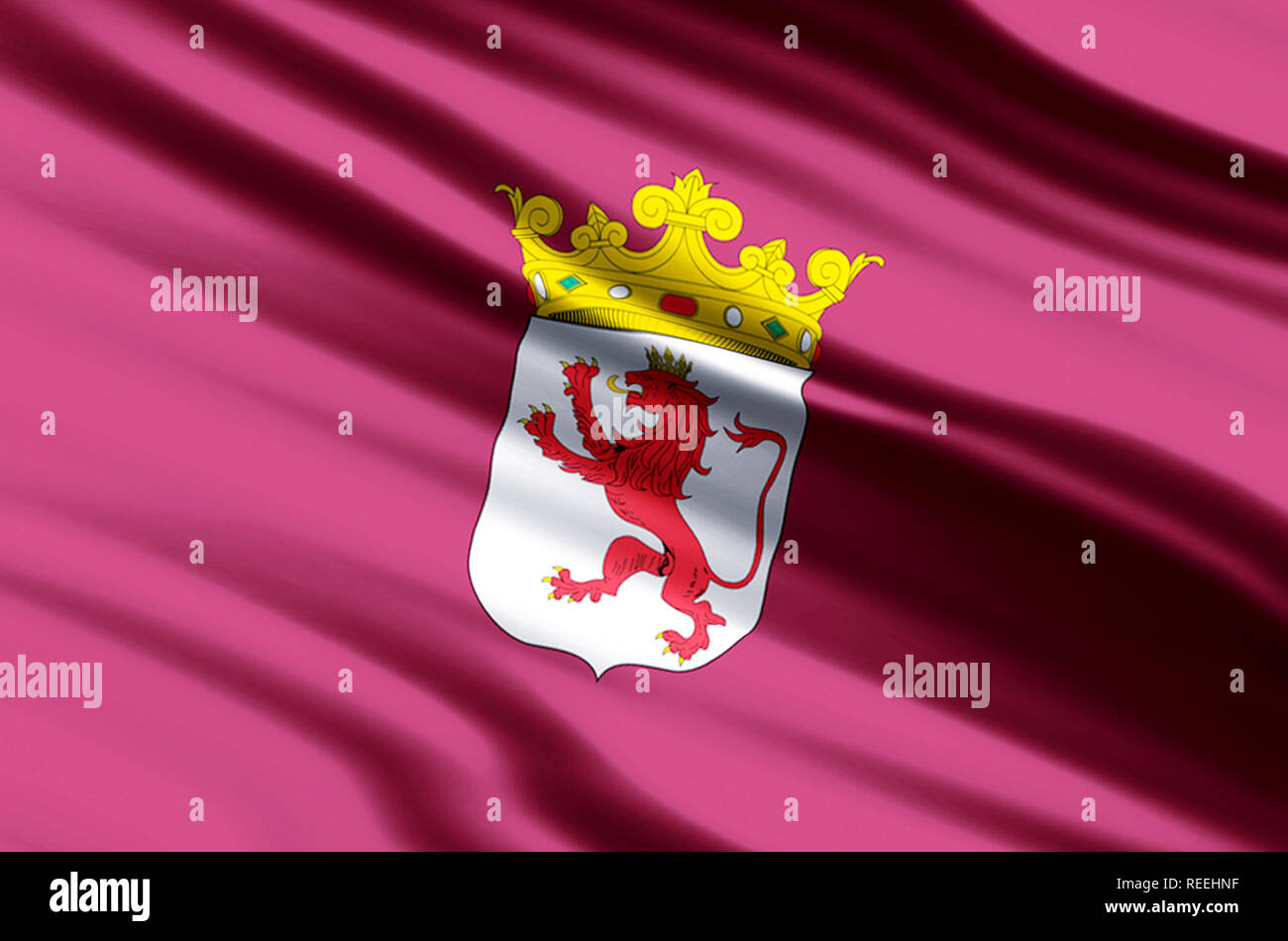 Leon waving and closeup flag illustration. Perfect for background or ...