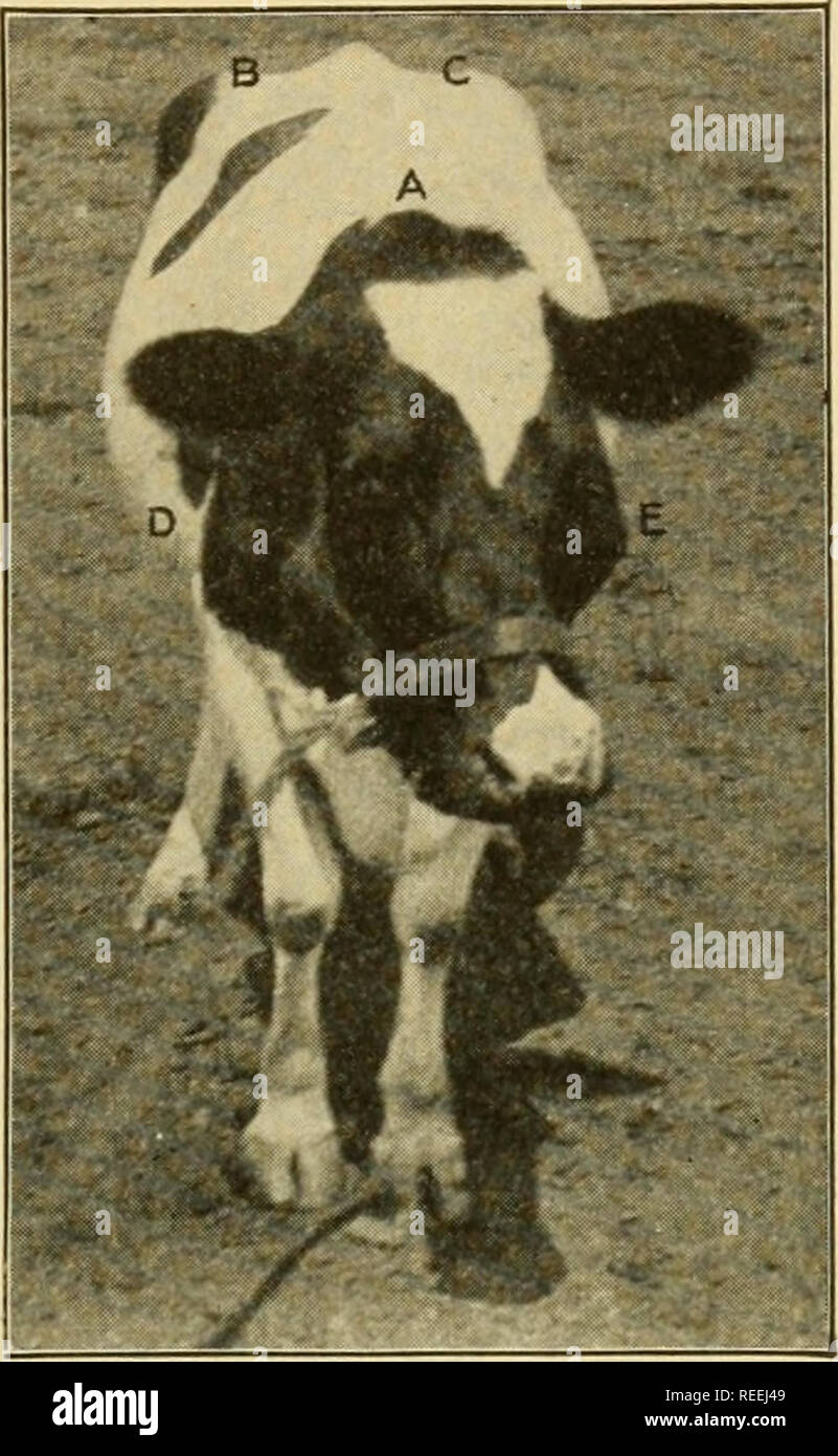 . Complete farmer's guide. Agriculture; Farm life. [from old catalog ...