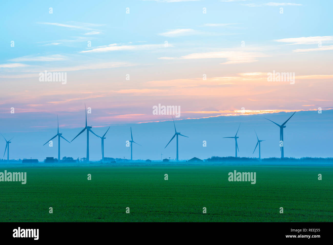 Wind power UK, view across a Cambridgeshire fen towards a row of wind ...
