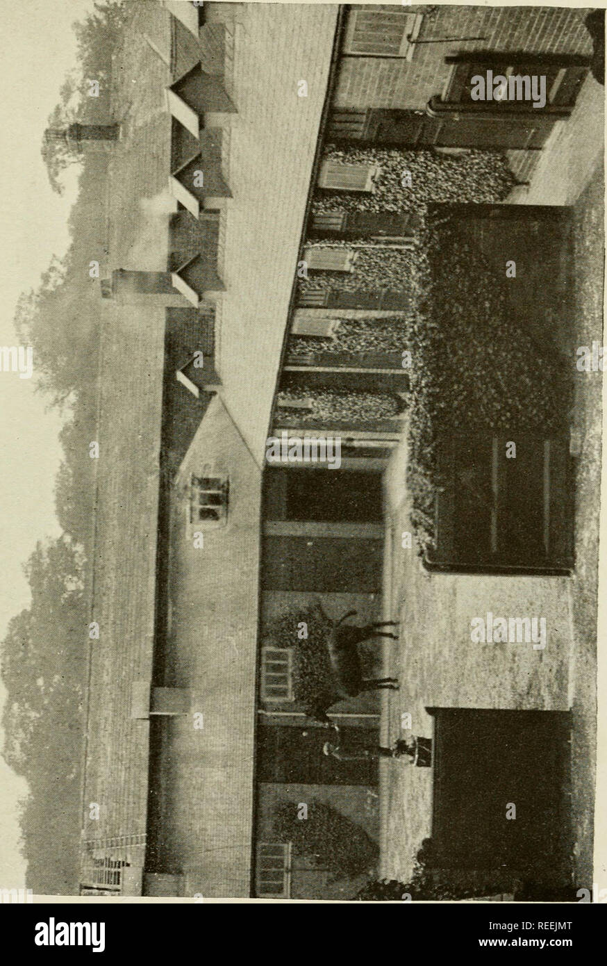 William scarth hi-res stock photography and images - Alamy