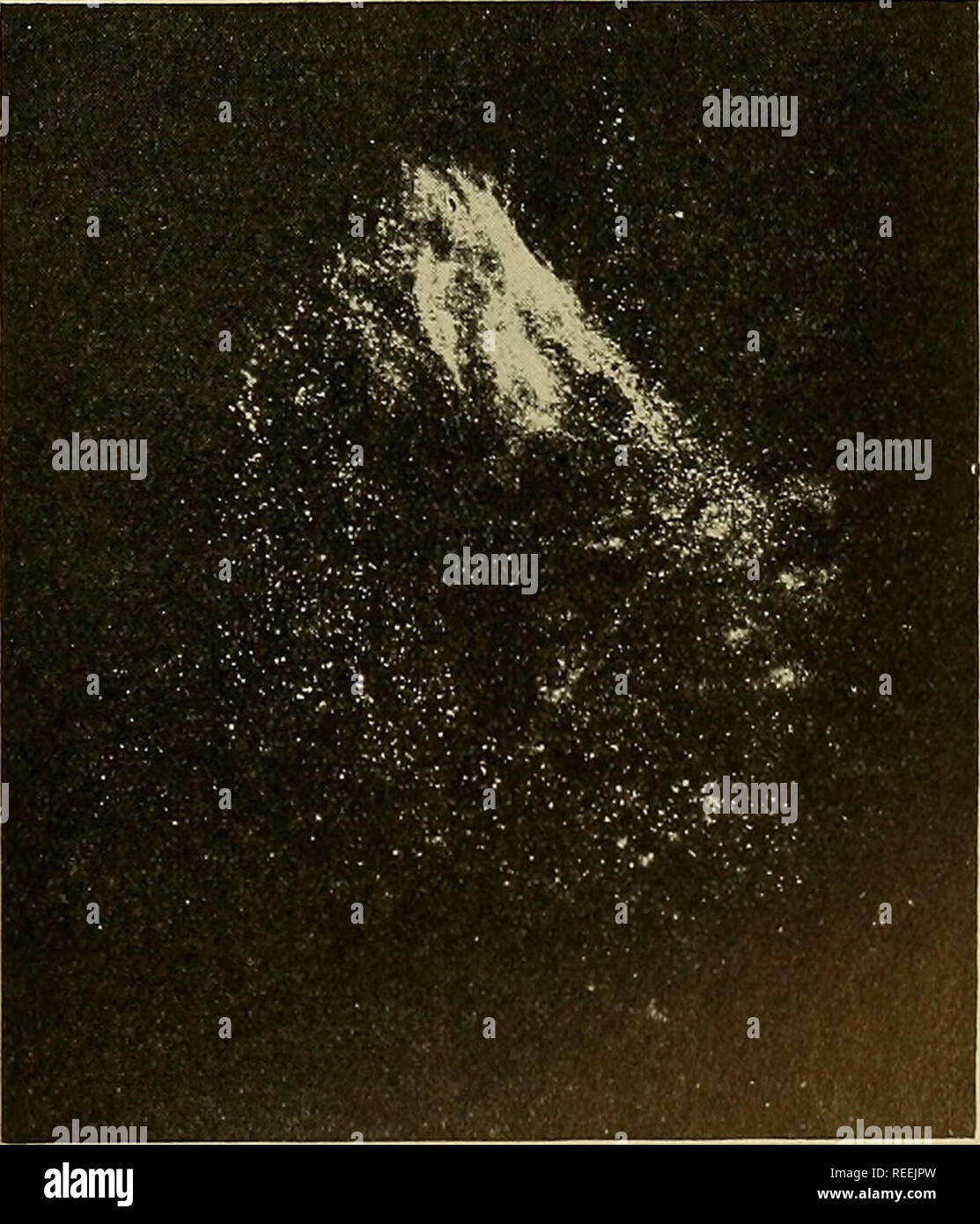 Ice Structure 8