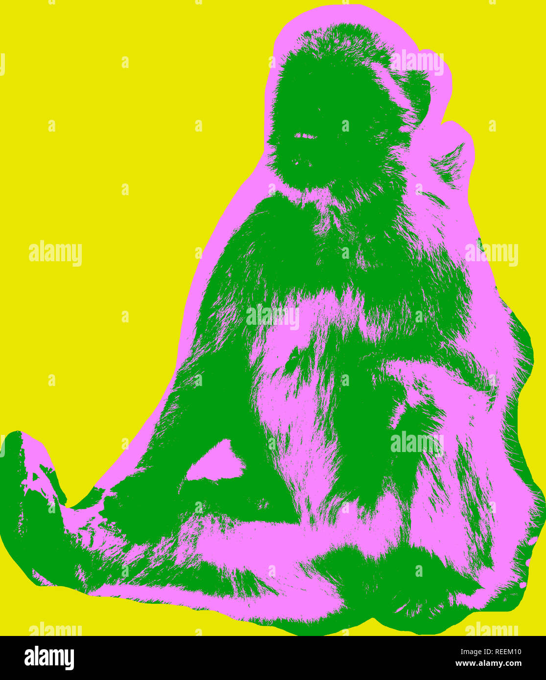 Ape picture hi-res stock photography and images - Alamy