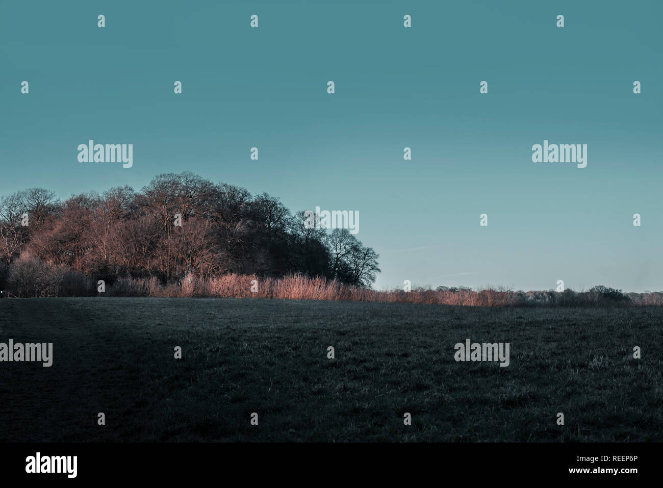 Cold fields with low sun Stock Photo - Alamy