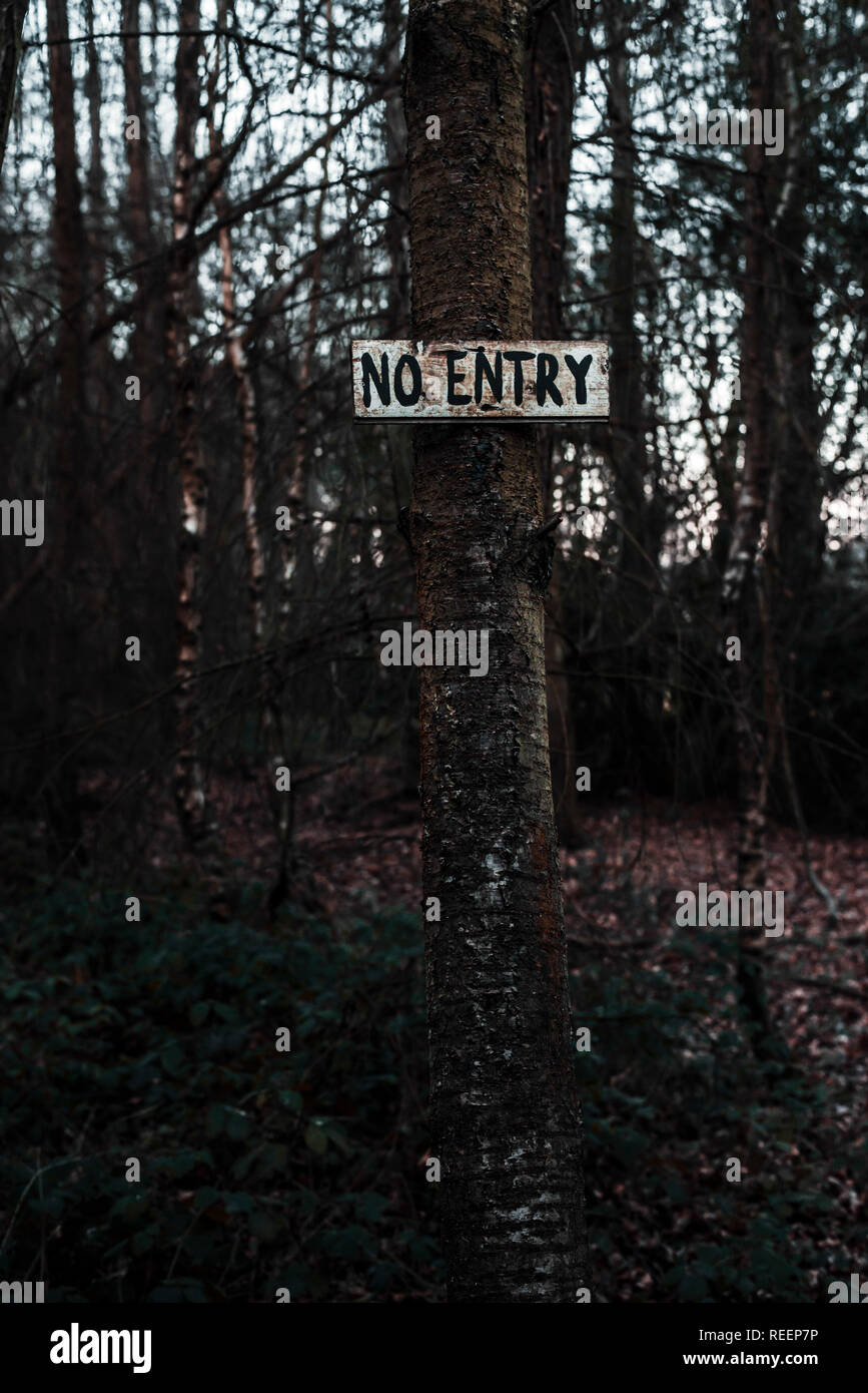 No Entry sign on a tree leading into the woods Stock Photo - Alamy